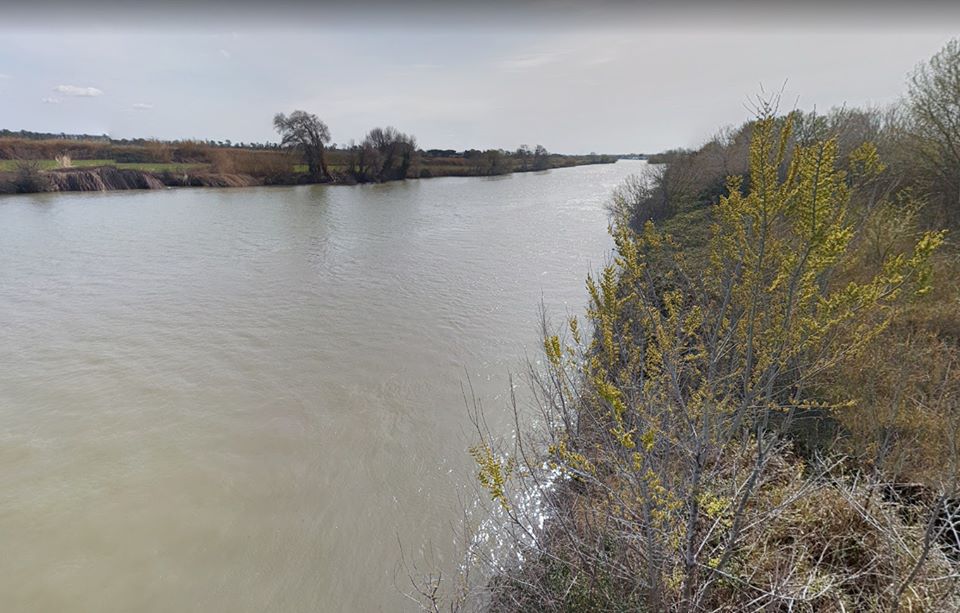 Fiumicino: finalmente piano di gestione per la riserva naturale statale ...